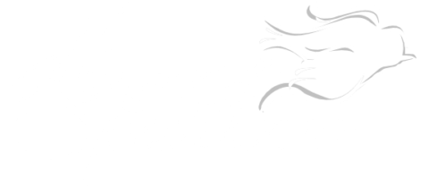 Community Threads Arlington Heights | Home of the Sparrow